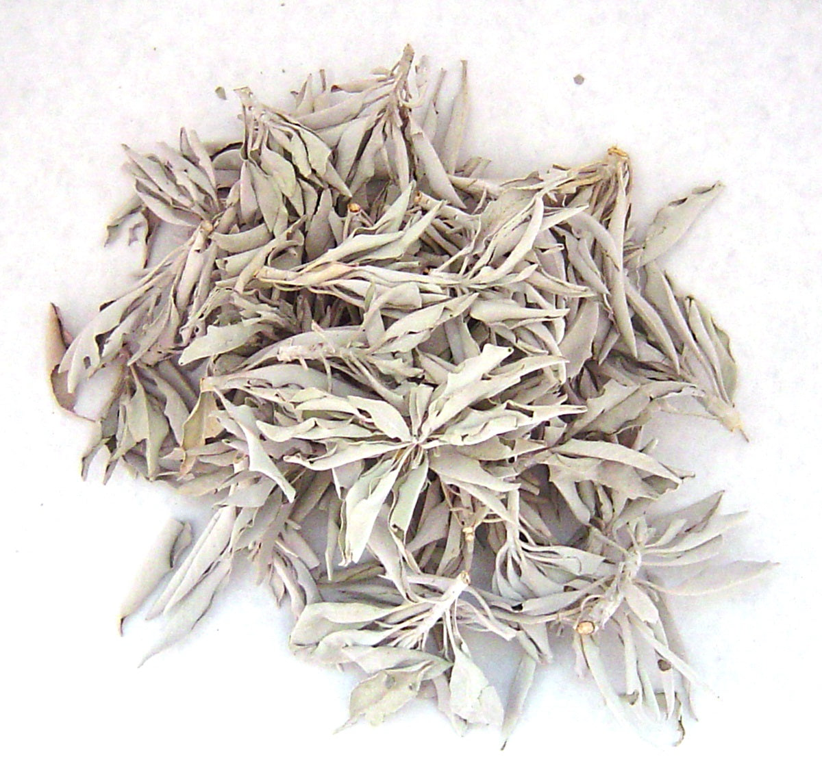 Turquoise Cloud - Loose Leaf, White Sage Clusters Bulk – Incense ...